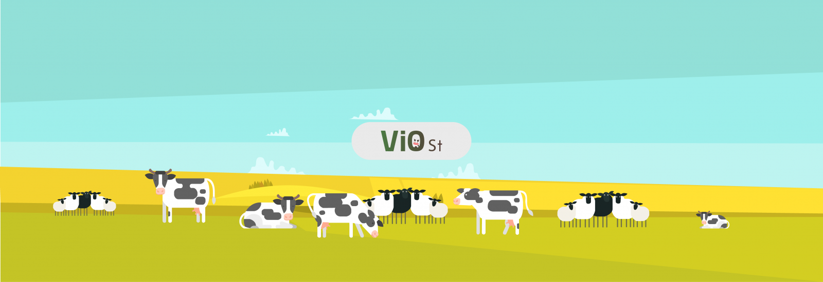 Vio St Vio Yazılım